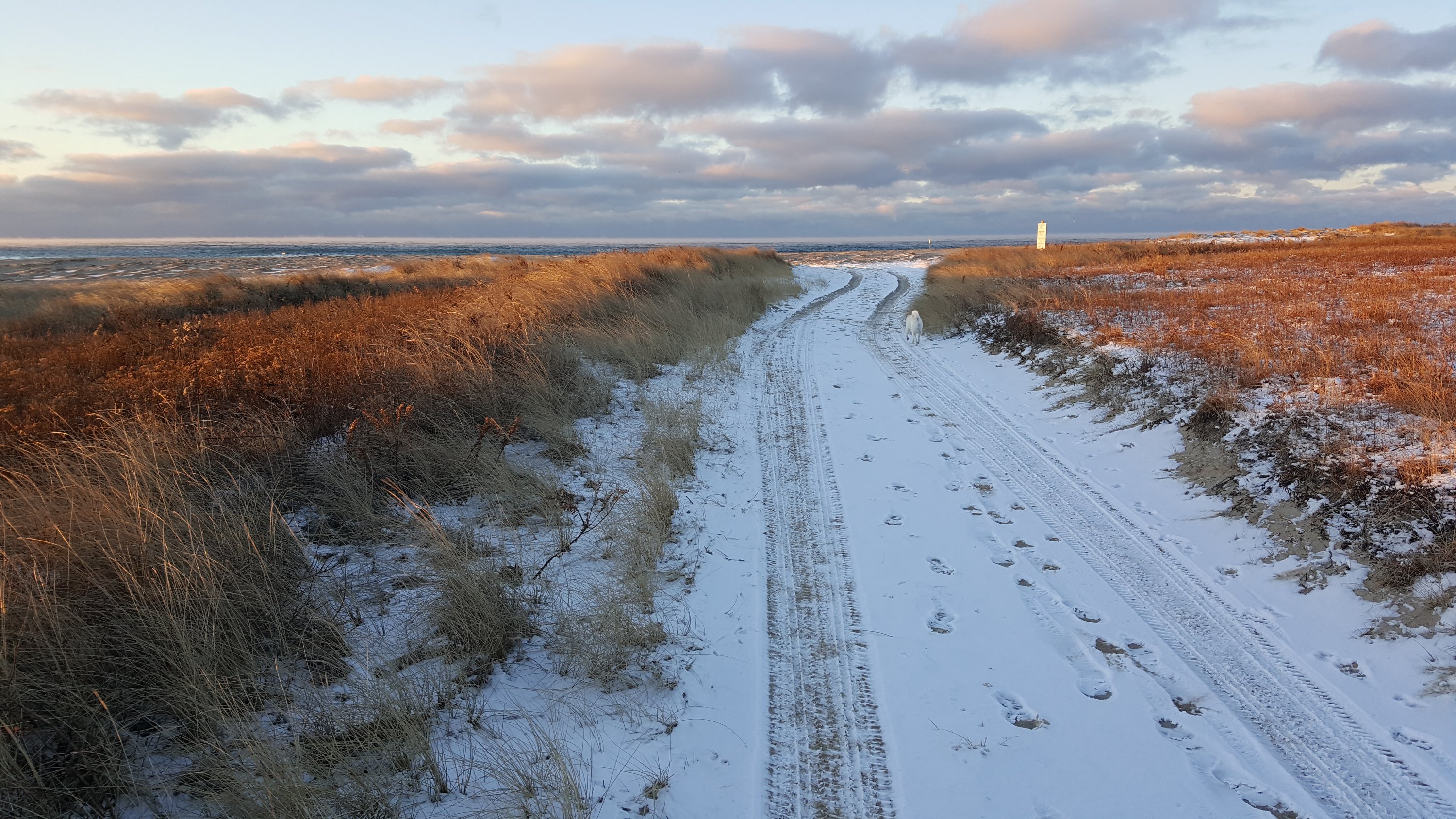 First Light – qbit