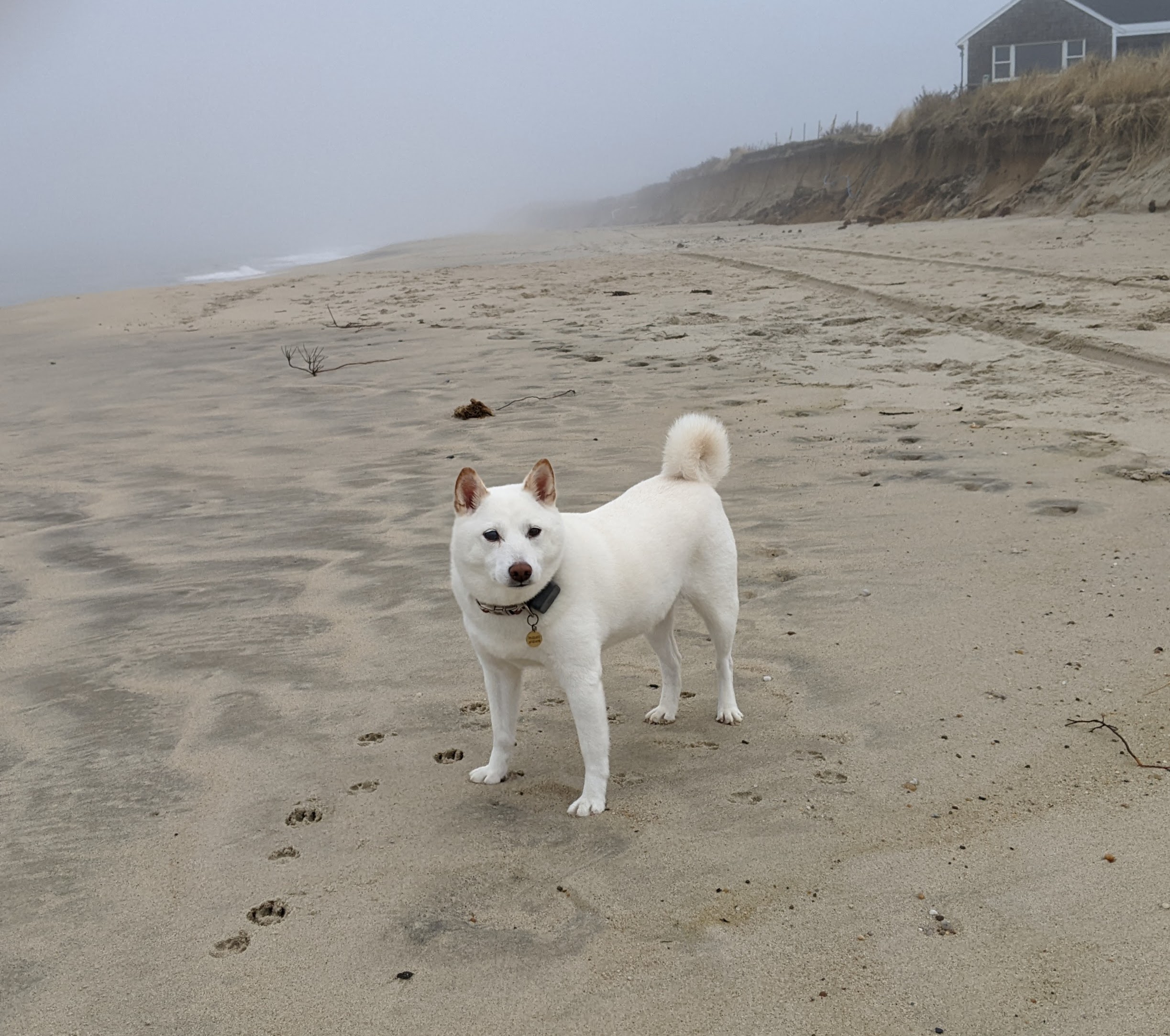 First Light – qbit